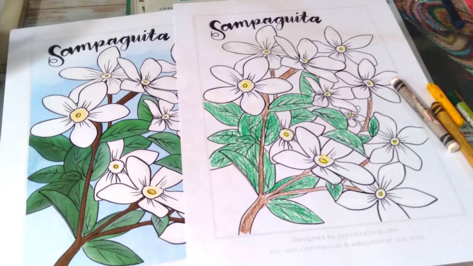 Philippine National Symbols Coloring Pages - Joy in Crafting