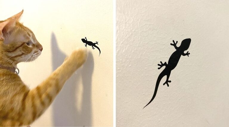 Fake Lizard Cut File to Prank Your Cats - Joy in Crafting