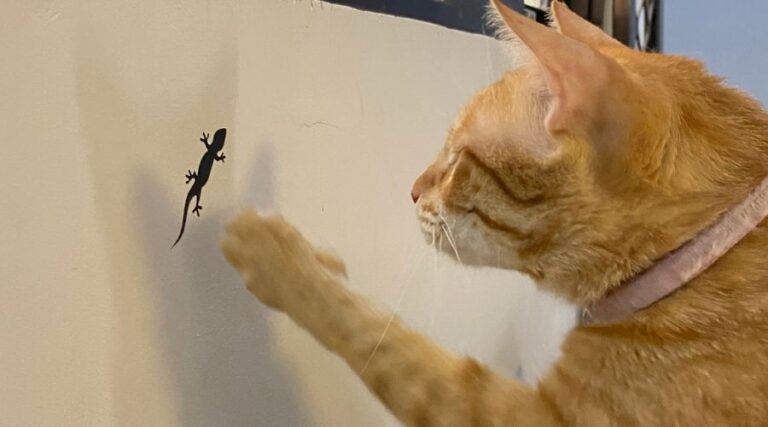 Fake Lizard Cut File to Prank Your Cats - Joy in Crafting